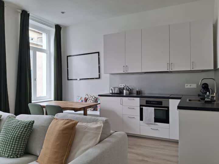 Bright Apartment In Ixelles - Bruxelles