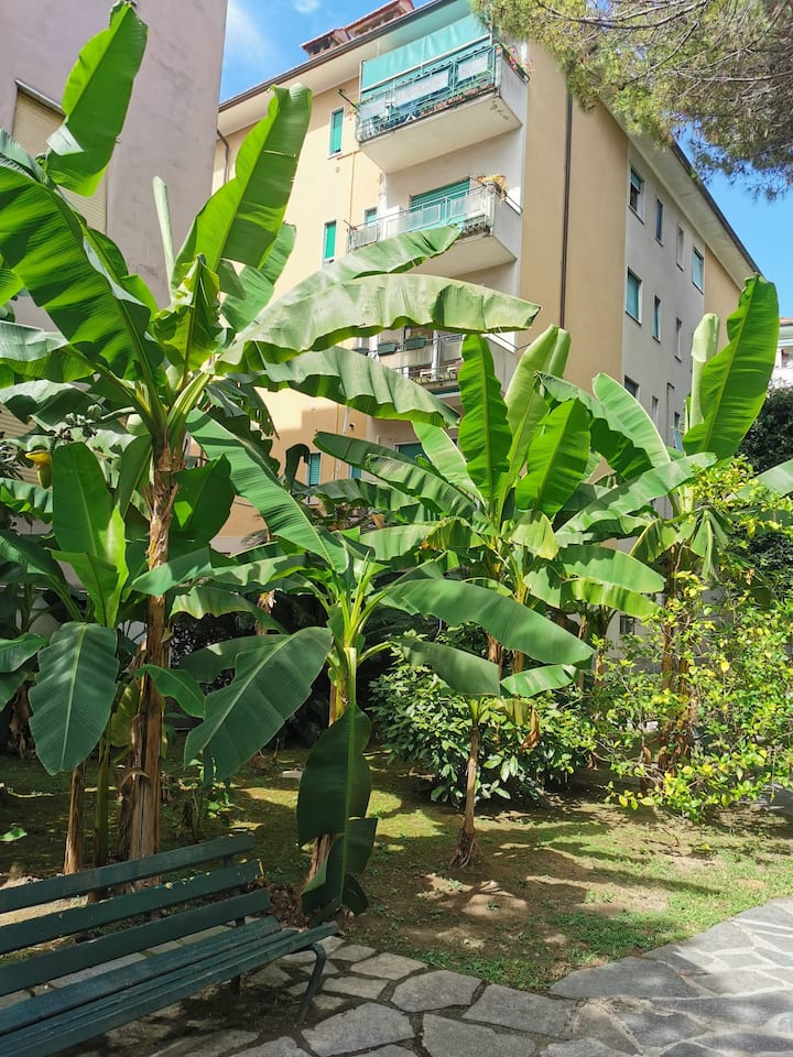 Casa Rosy, Rapallo - Portofino