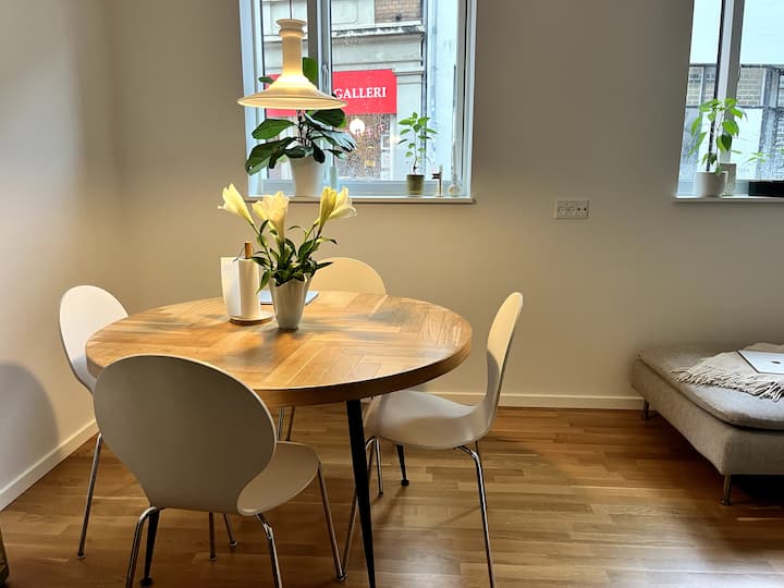 Central Hyggelig Lejlighed - Aarhus