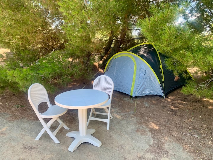 Tente Paisible Sous Les Pins, Au Pied De L’étang - Mèze