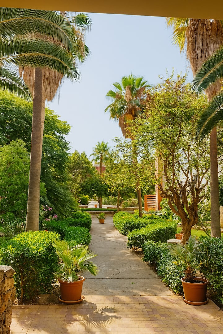 Top Spot – 2 Clim, Fibre, Netflix, Iptv, Nespresso - Salé