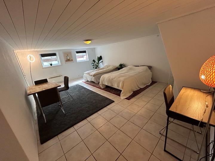 Sentralt Ved Stranden Og Museum - Oslo