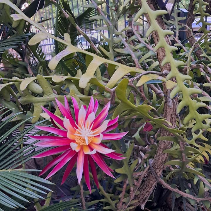 Casa Vacanze A Lecce Di Angelo - Lecce