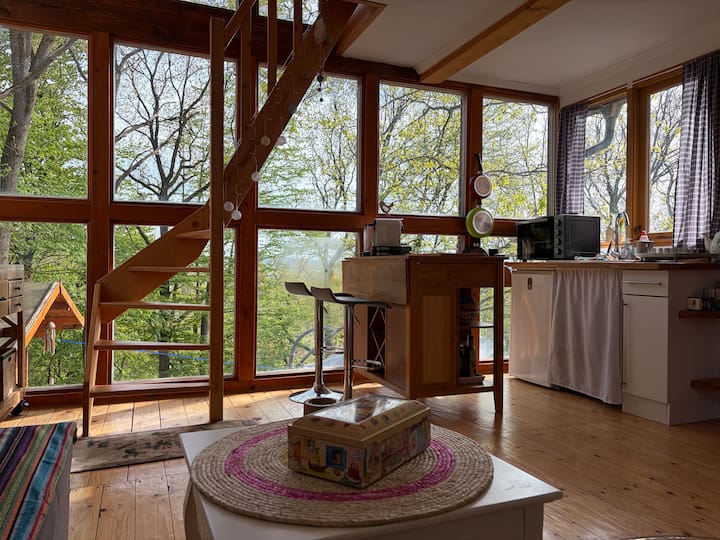 Holzhaus Mit Sauna Am Waldrand - Seesen