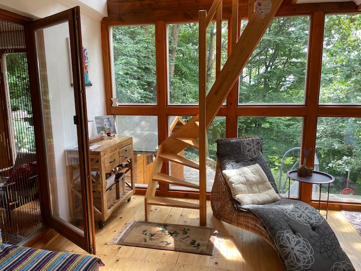 Holzhaus Mit Sauna Am Waldrand - Seesen