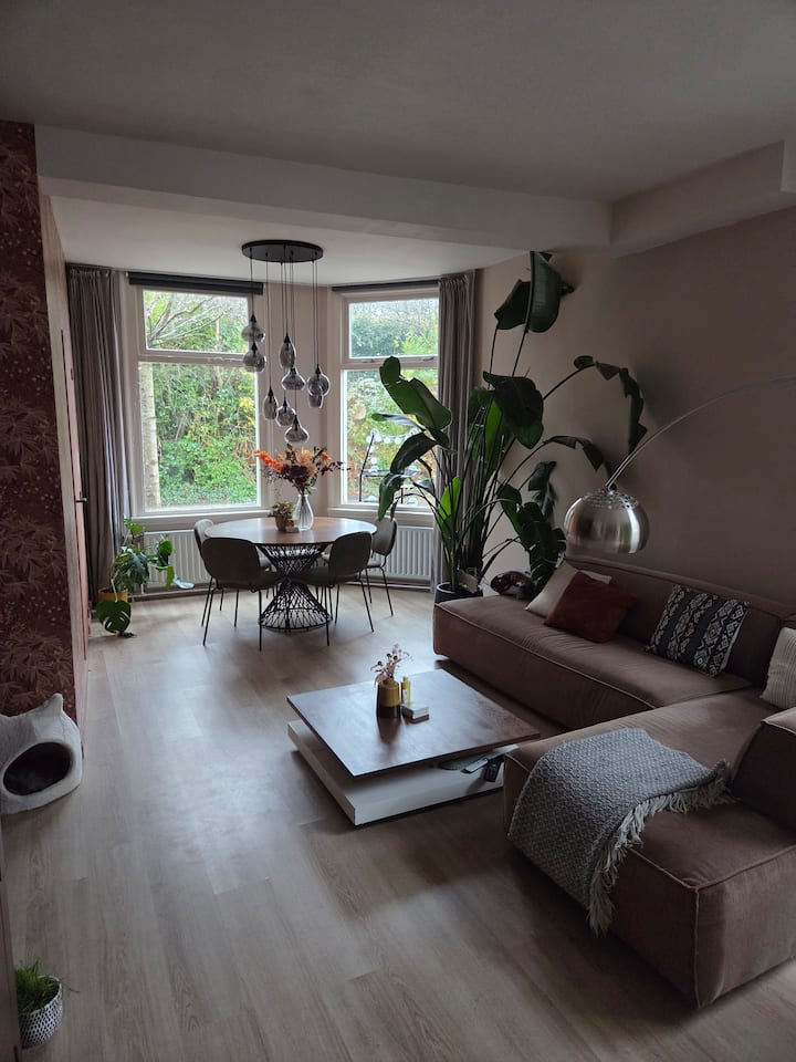 'T Hoekje Haarlem - Heemstede