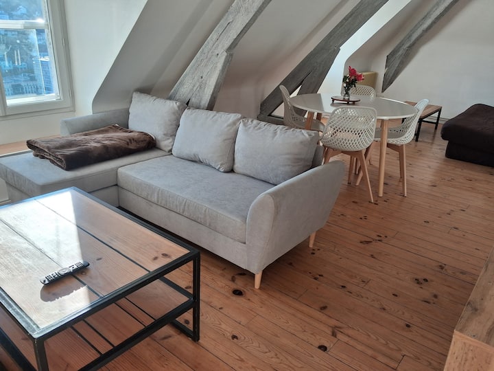 Appartement Rénové 46m2 - Climatisé Et Calme - Tulle