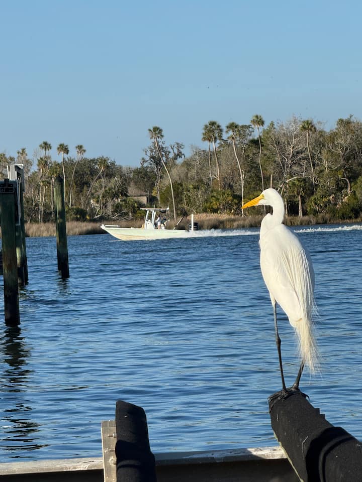 Salty's Retreat With A 50’ Dock At Crystal River - Crystal River, FL