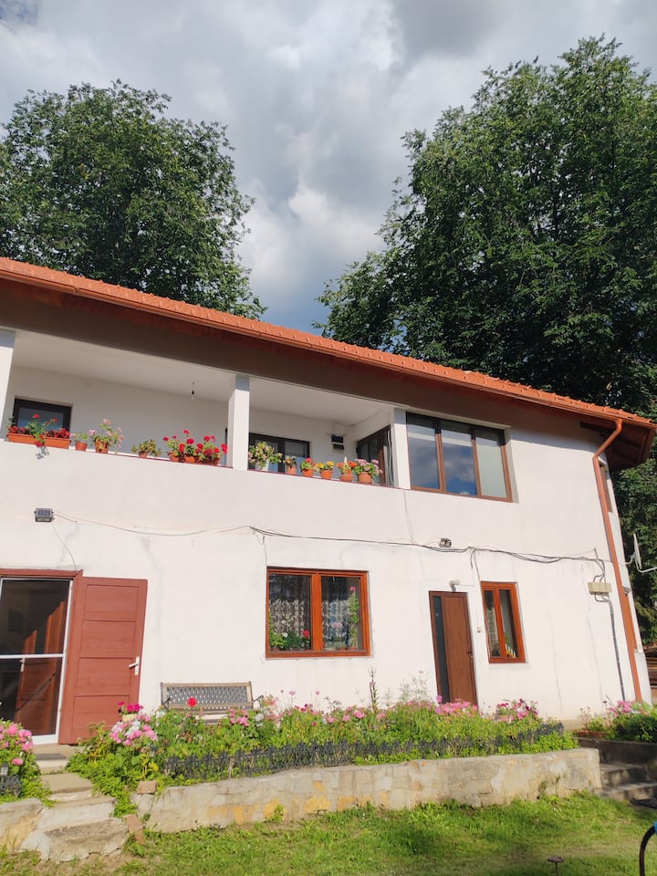 Bella Casa In Borsec, Camera 1 - Borsec