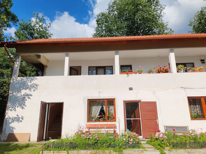 Bella Casa In Borsec, Room 1 - Borsec