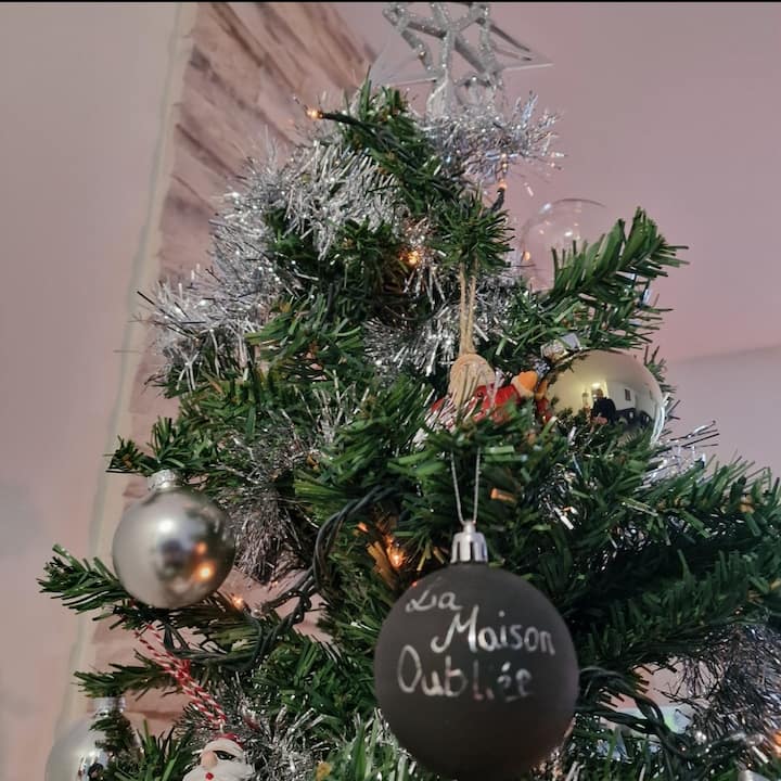 La Maison Oubliée Et Sa Fun Rooom - Provincie Henegouwen