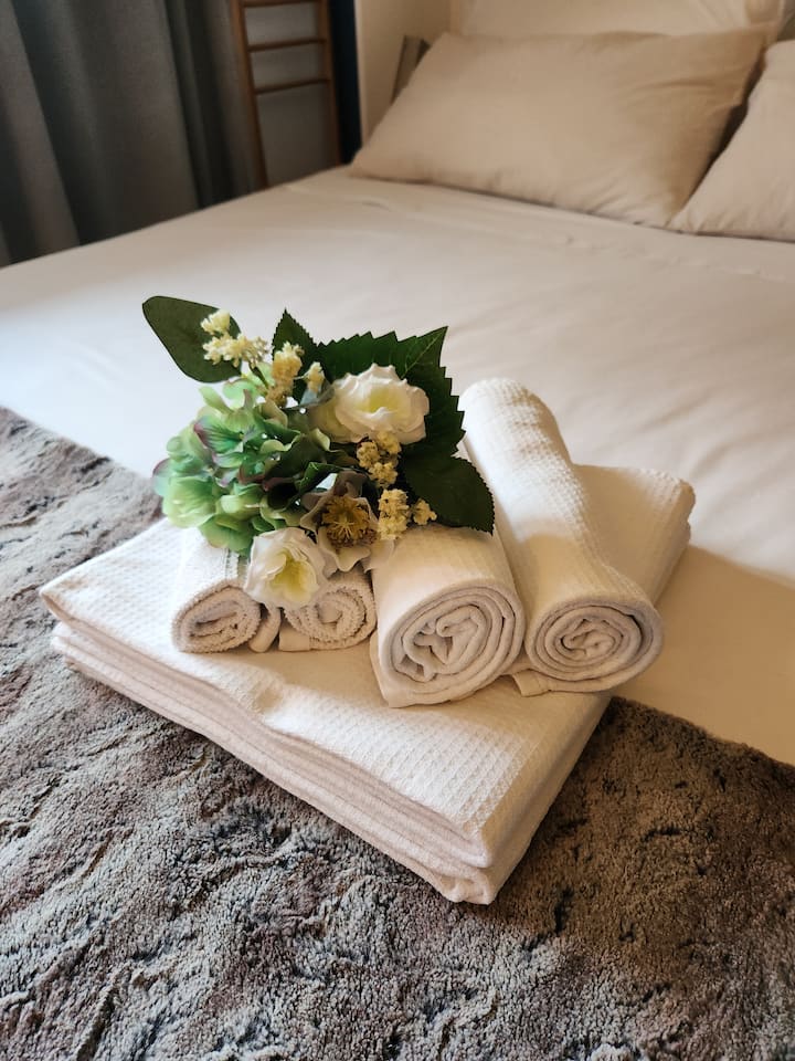 Appartamento Con Parking Privato - Turin