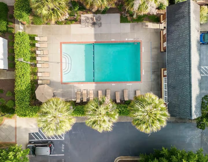 Cb90 Downtown Escape: Pool, Arcade Games, Usc - Columbia, SC