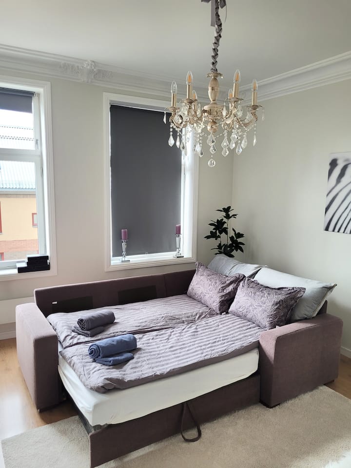 Private 30sqm Near Botanical Garden - Oslo