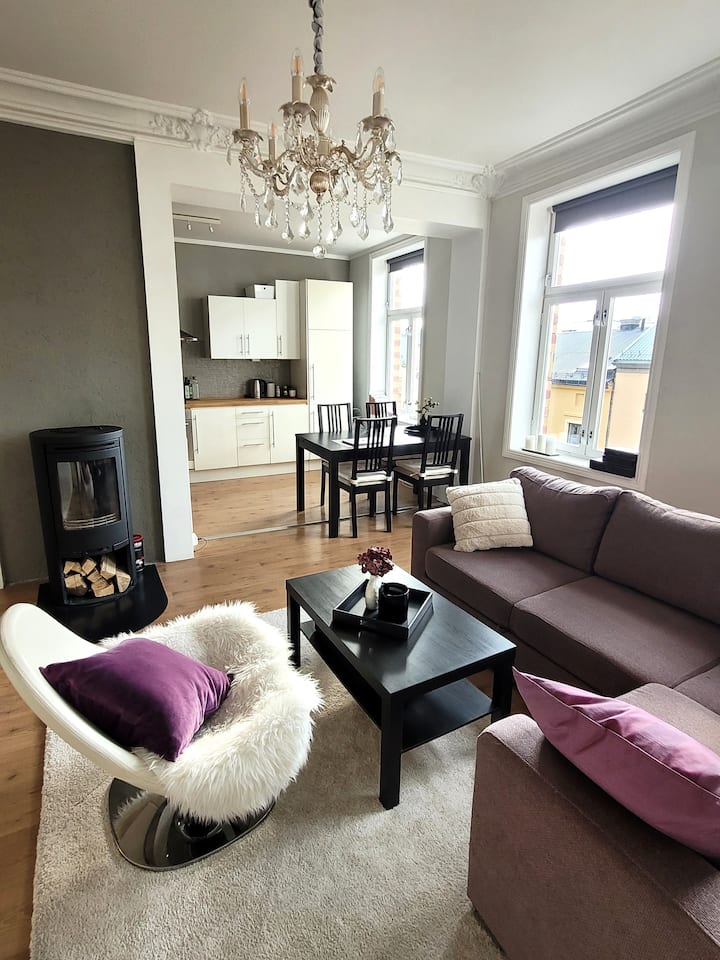 Private 30sqm Near Botanical Garden - Oslo