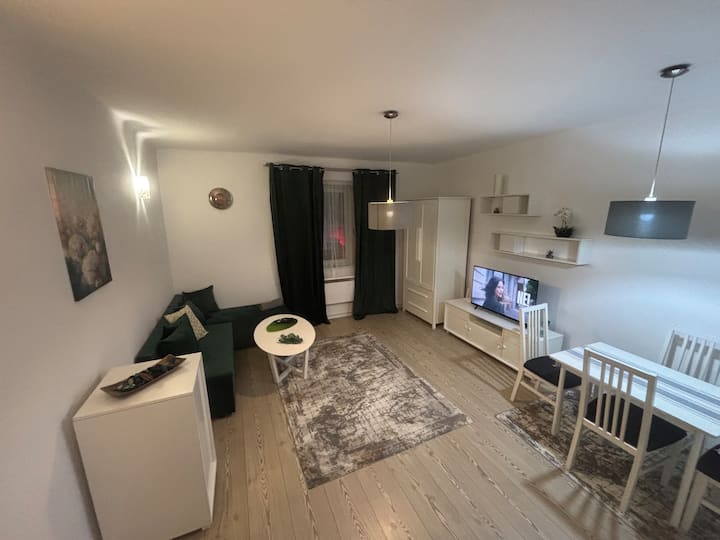 Sarajevo Festival Apartment - Sarajevo