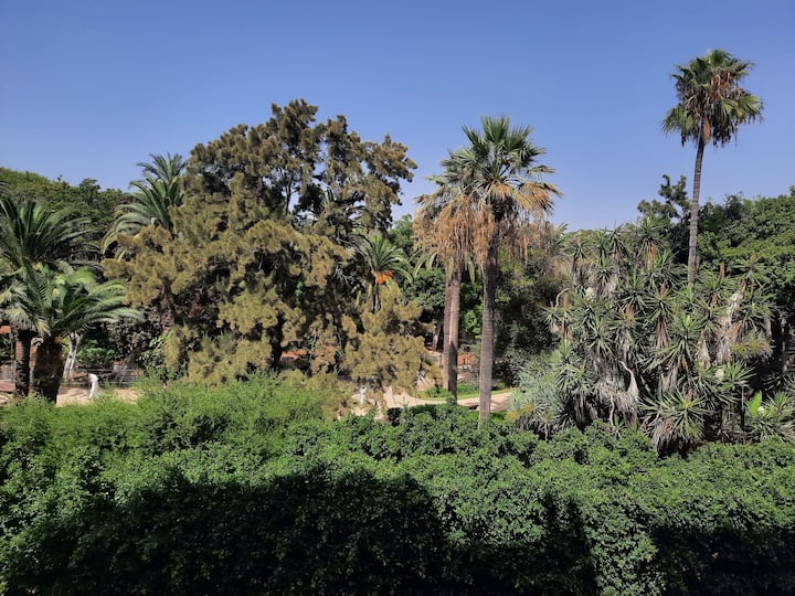 Chambres D'hôtes - Rabat