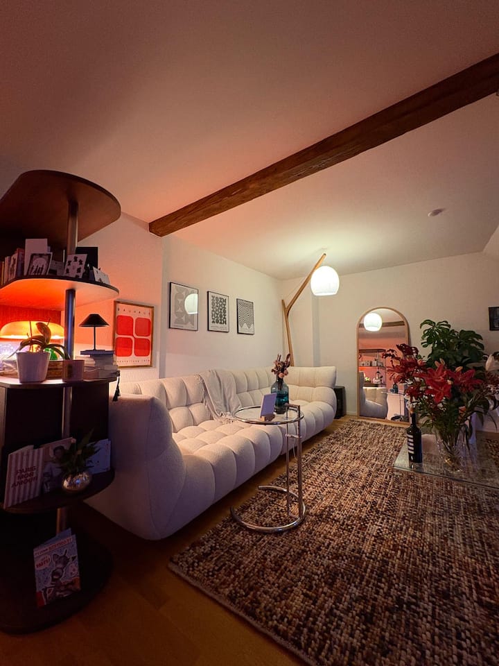 Chambre Cosy Au Centre De Zurich - Zurique