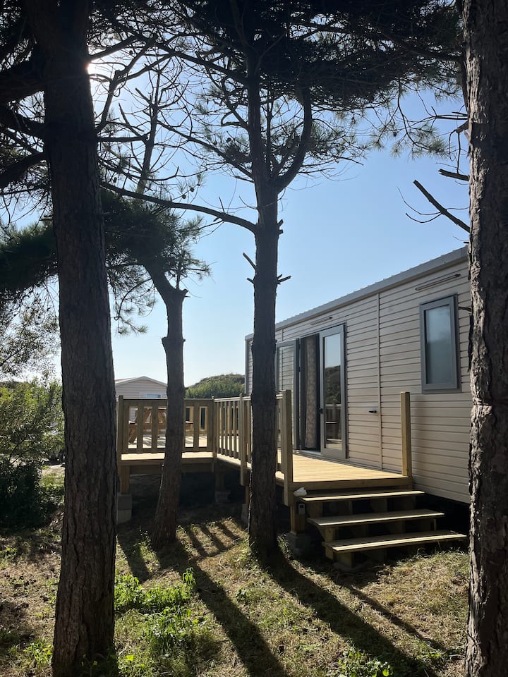 Bungalow Neuf Dans Les Dunes Accès Direct à La Mer - Hardelot-Plage