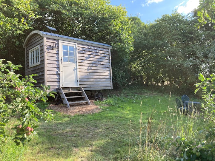The Orchard Hut - Cheddar