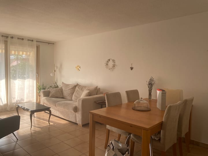 Appartement Avec Terrasse - Brignais