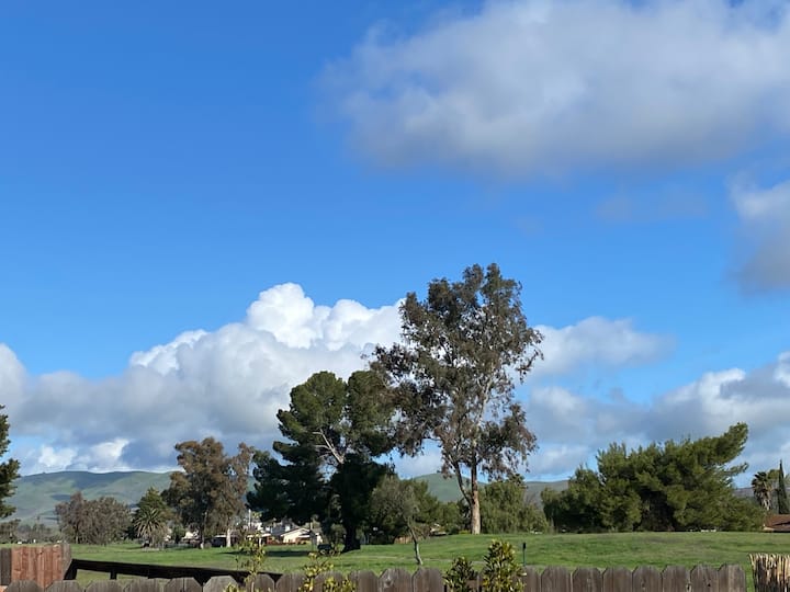 Frnish'd Bdrm Priv Bath Niceyard - Livermore