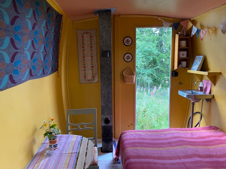 Naturnära Tinyhouse På Ekologisk Gård - Laholm