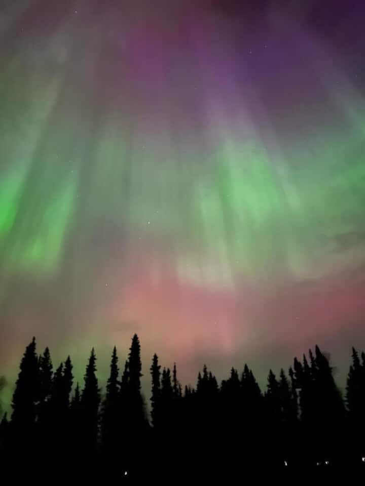 Aurora Moose Getaway - Alaska