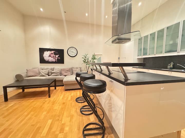 Enjoy The Oslo Vibes Sentral Spacious Fast Wifi - Oslo