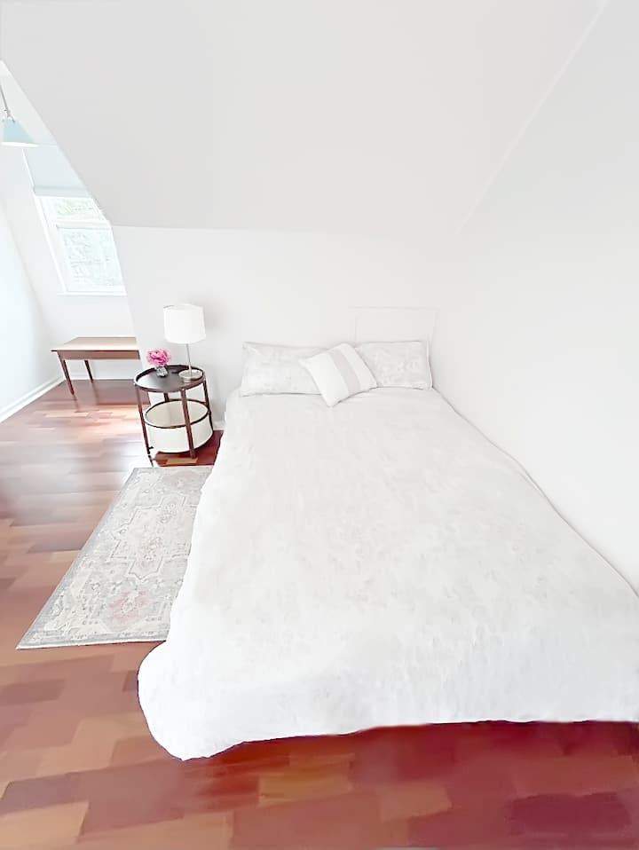 Private Sunny Room, By Um Stadium, & Sweet Cat! - Ann Arbor, MI
