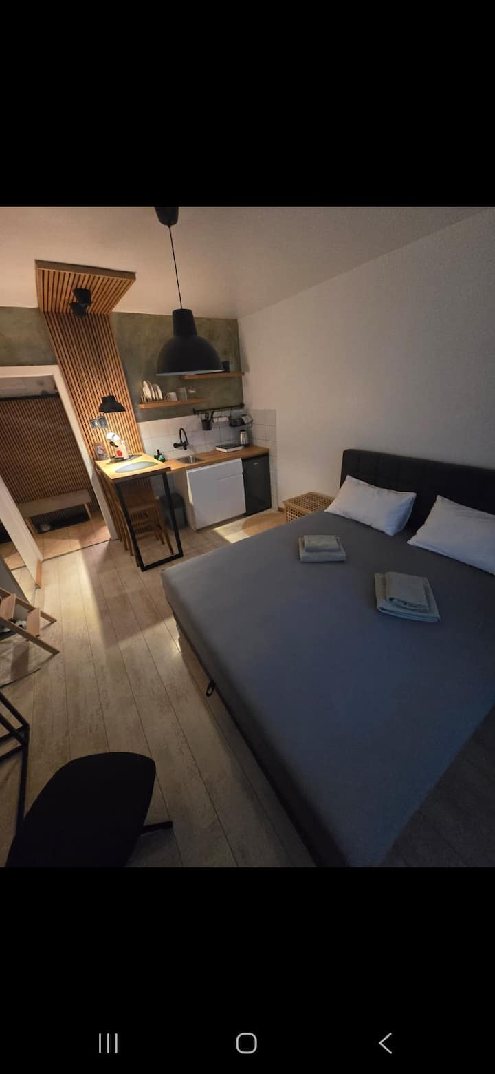 Studio Apartman Mari - Kutina
