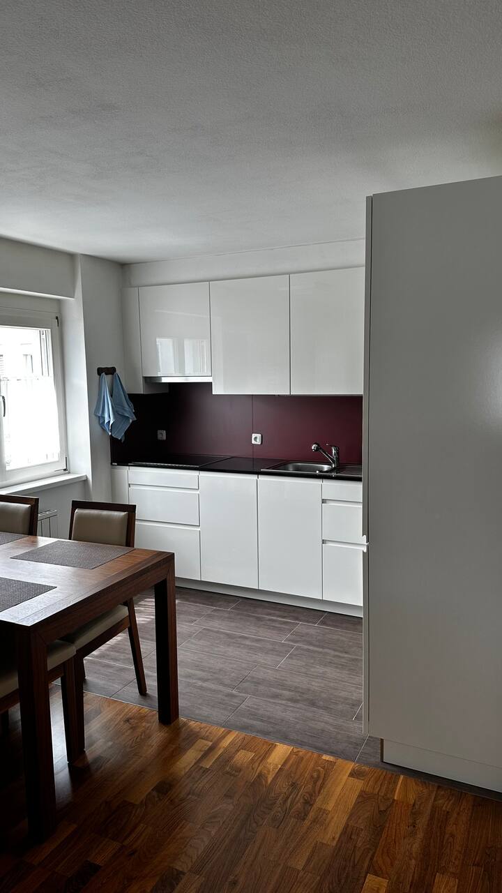 Moderne Wohnung In Top-lage Bregenz - Bregenz