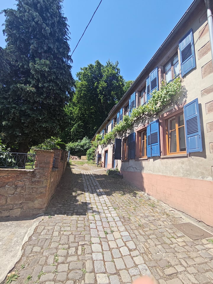 Gite " Au Cocon Des Bois " - Saverne