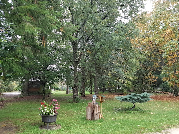 Location Bungalow 4p Chasse Pêche Sologne - Lamotte-Beuvron