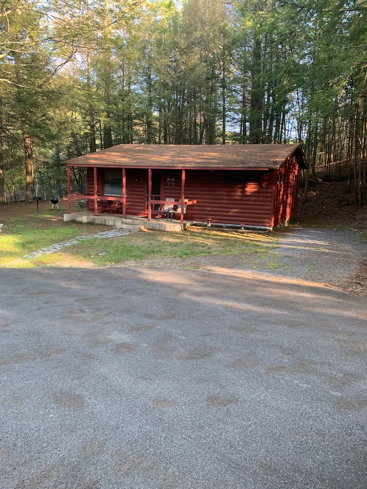 Cozy Cabin #5 - Lake George, NY