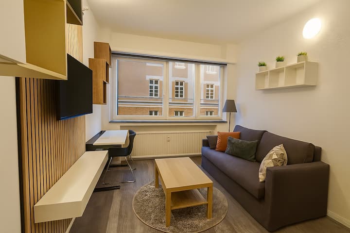 Cosy Studio Ixelles - Brussels