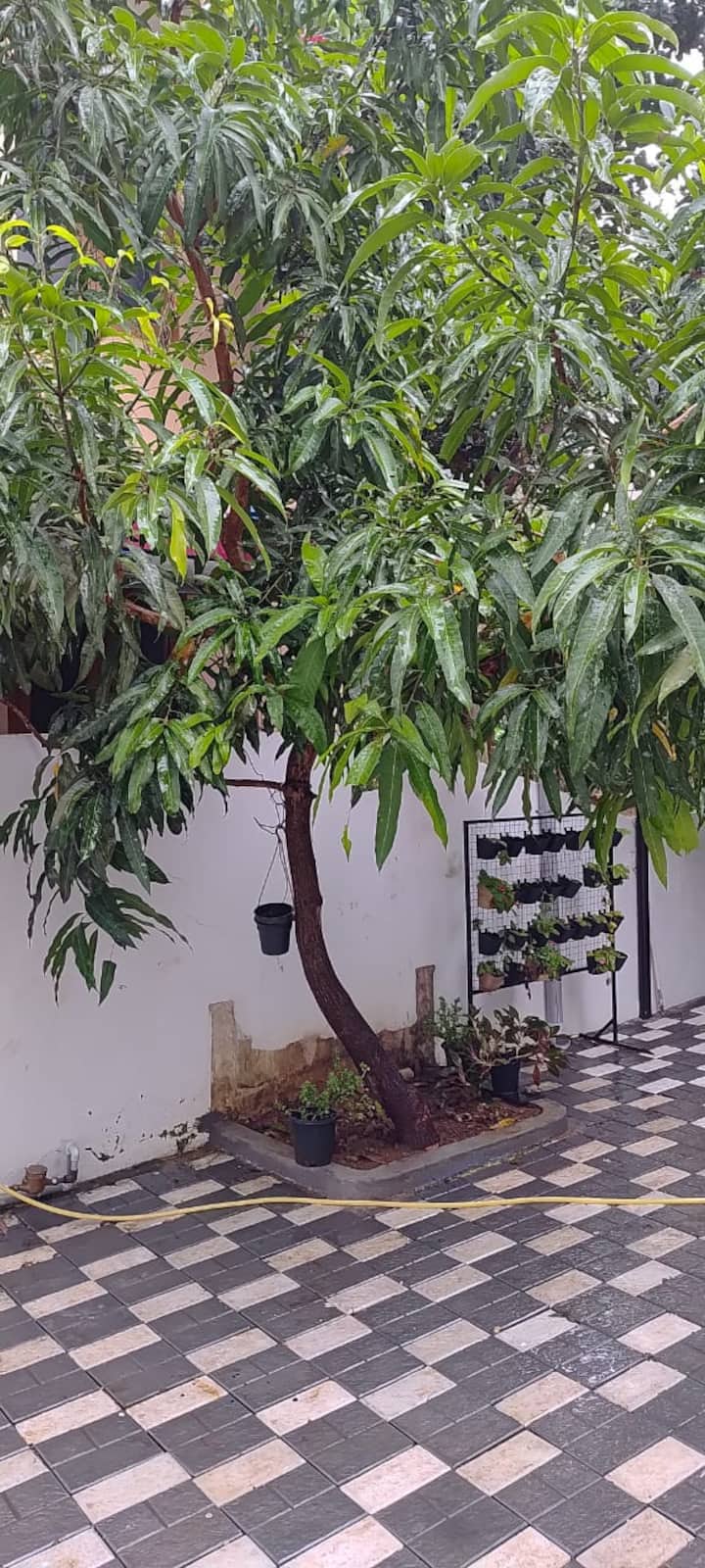 Nest2- New Private Independent Villa With Kitchen - Thiruvananthapuram