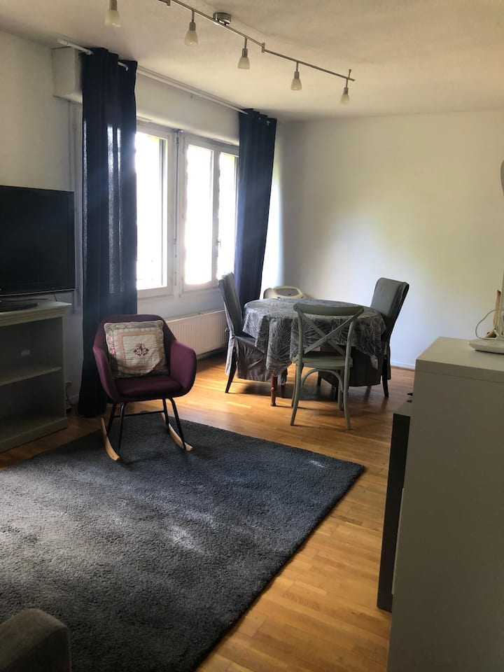 Appartement En Résidence Et Parc - Limoges