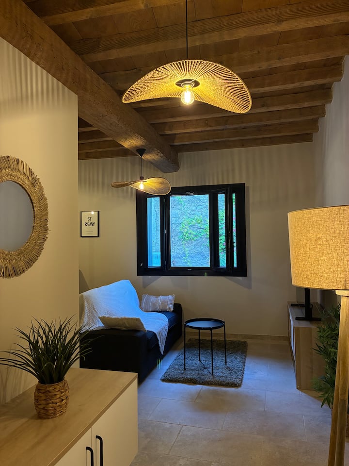 L’appartement Augustin - Saint-Rémy-de-Provence