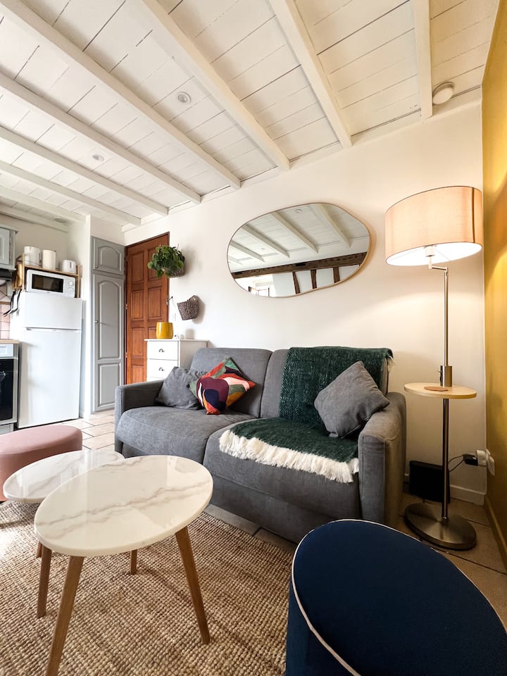 La Mansarde Du Temps Suspendu - Centre Historique - Dijon