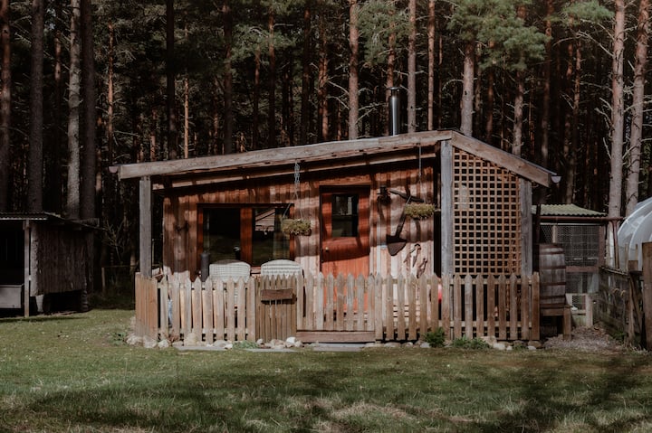 Cabin In The Cairngorms | Sauna + Slow Retreat - Boat of Garten