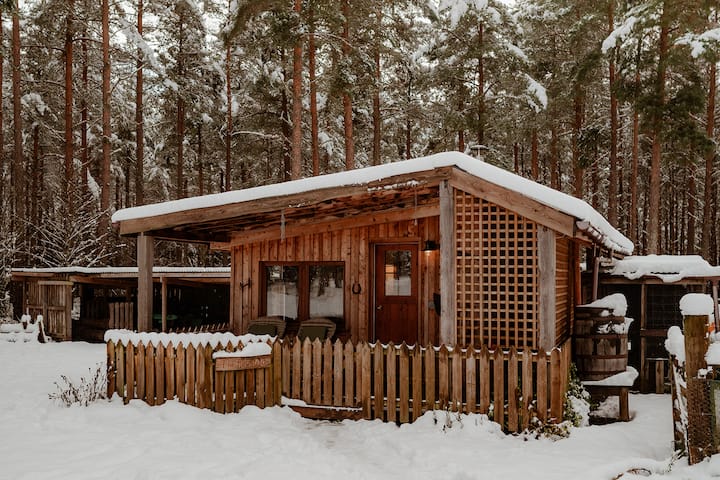 Cabin In The Cairngorms | Sauna + Slow Retreat - Scotland