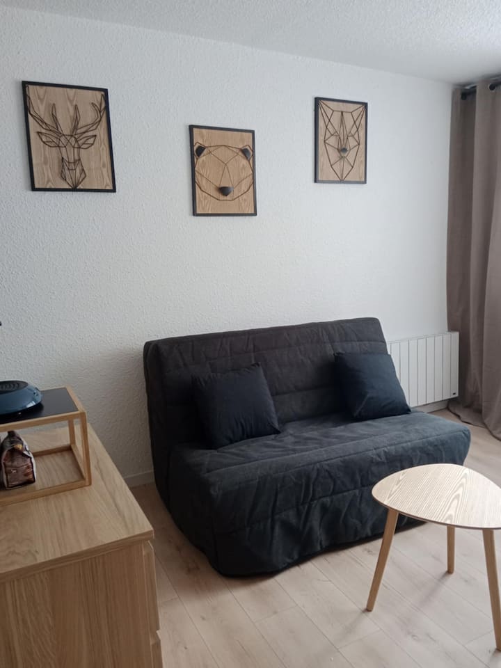 Studio 5 Pers. Les Ours Bruns - Aragnouet