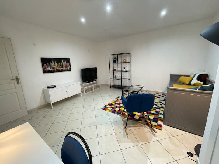 Studio Spacieux En Plein Centre - Ferney-Voltaire