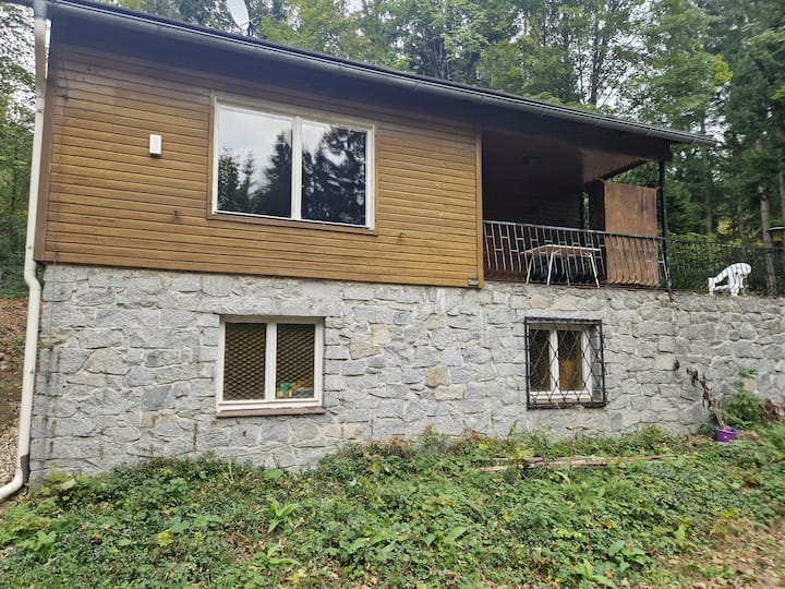 Ferienhaus Am Hochficht - Breitenberg