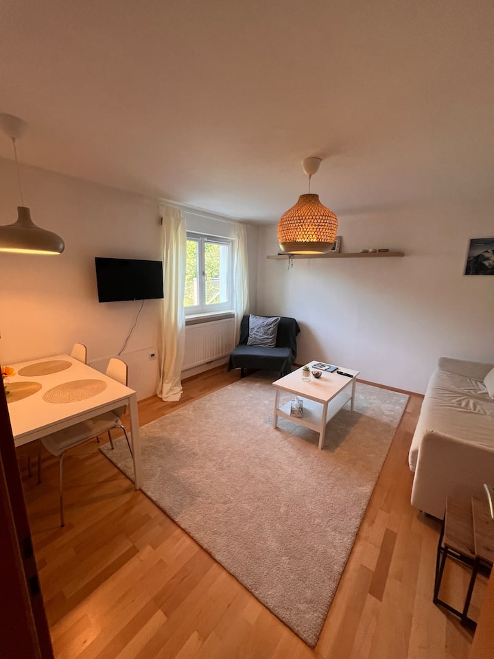 Zentrale Unterkunft - Salzburg