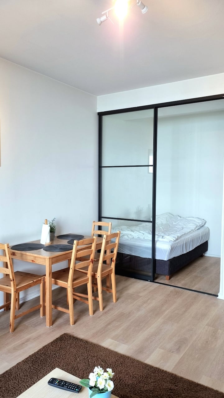 Comfortable Apartment - Helsinki