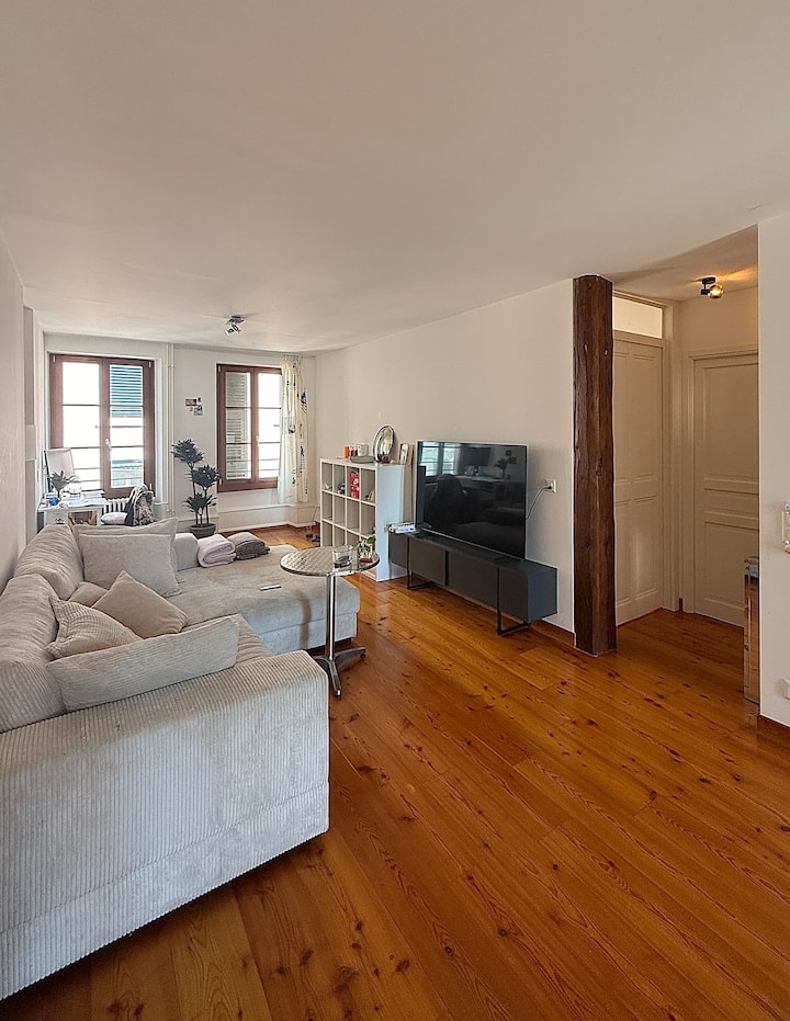 Charming Apartment - Pont D’arve - Genf