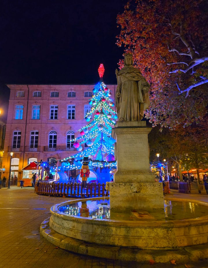 Appartement Charme En Plein Centre Historique - Aix-en-Provence