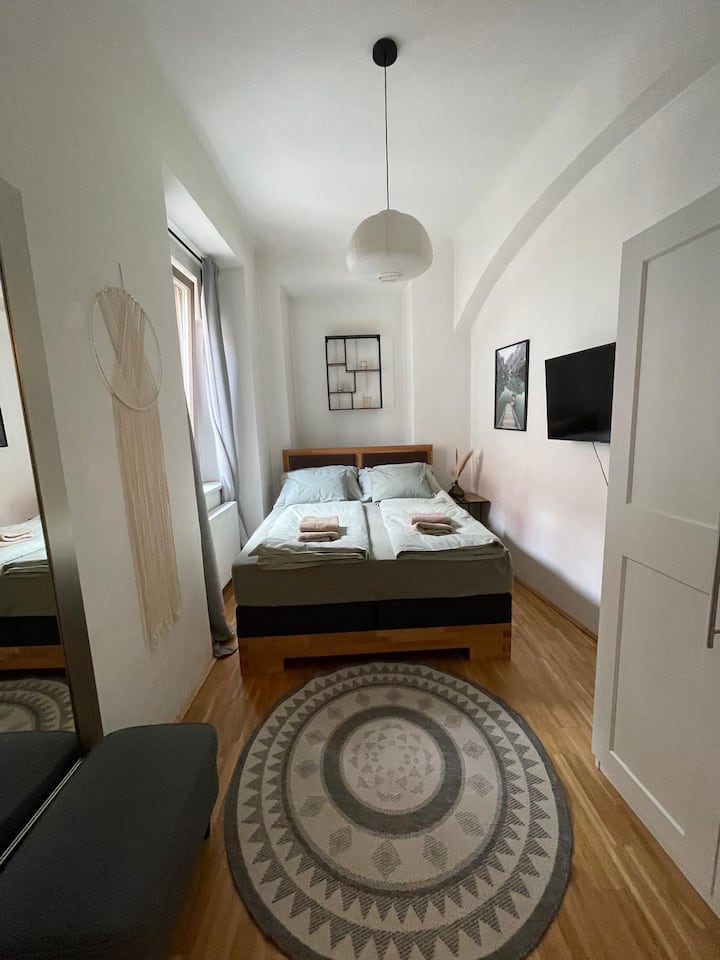 Wohnung Im Zentrum Graz - Graz